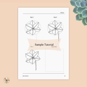How to Draw Flowers for Beginner, Step by Step Flower Workbook ...