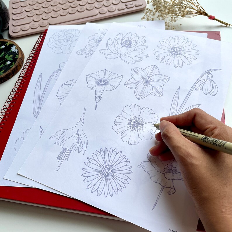 Learn to Draw Flowers Tracing Guides Coloring Pages - Etsy