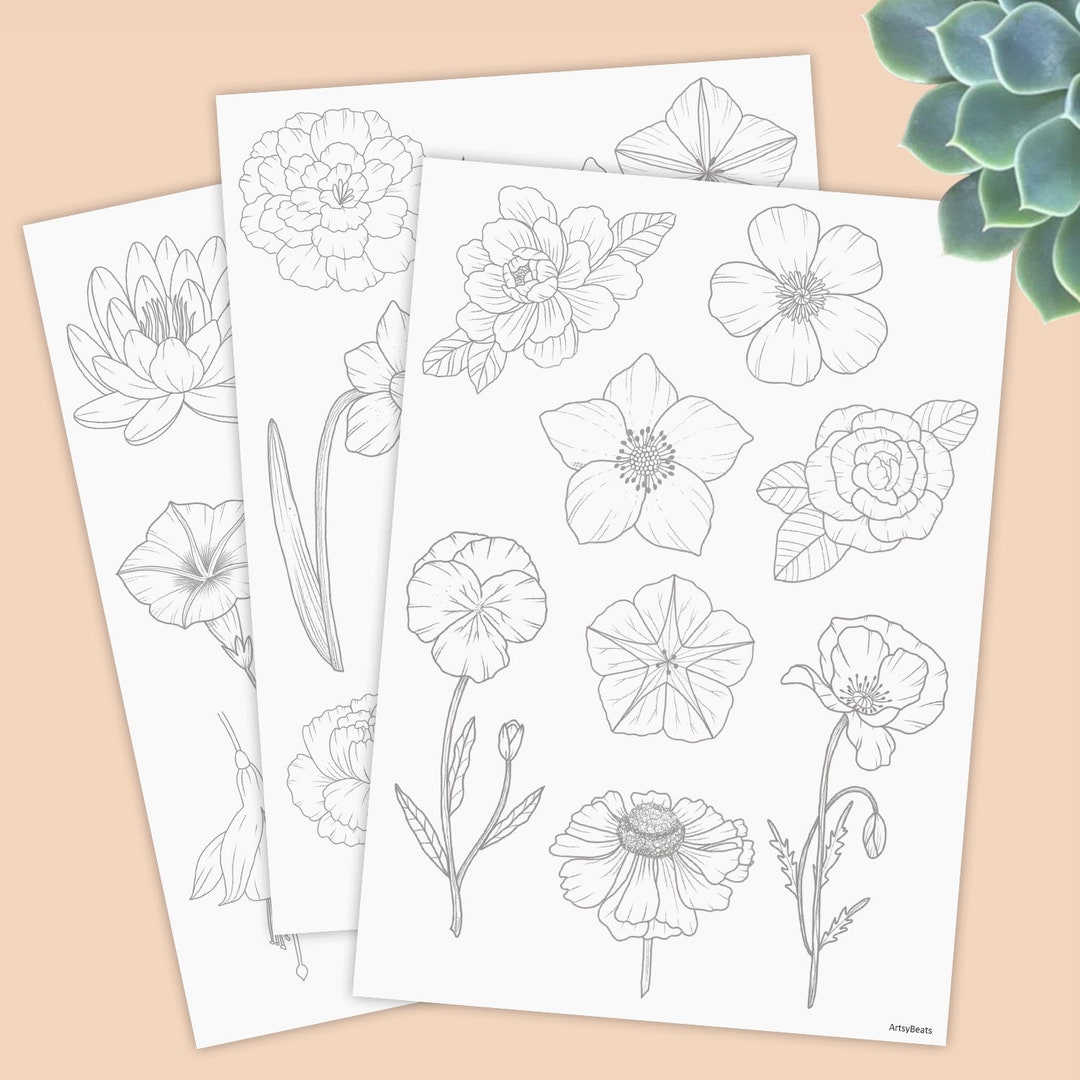 Learn to Draw Flowers, Tracing Guides, Coloring Pages, Printable ...
