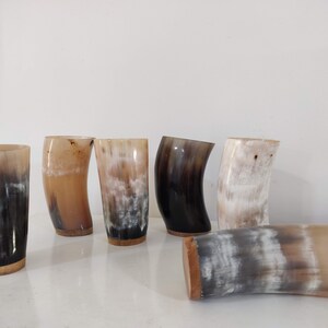 Medieval Real Ox Horn Cup Mug - Rustic Viking Drinking Beer Mug Cup ...