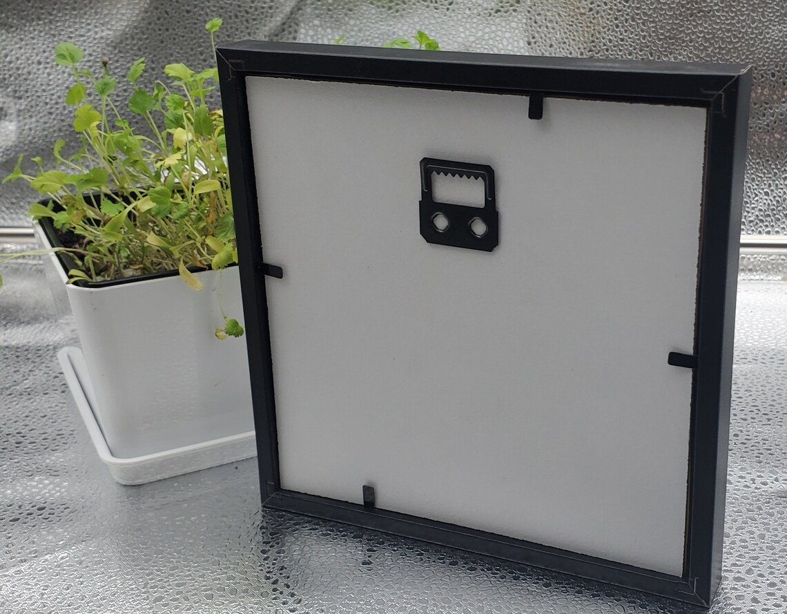 Pew Pew Pew Star Wars Inspirited Sign/ 3D Print/ Star Wars | Etsy