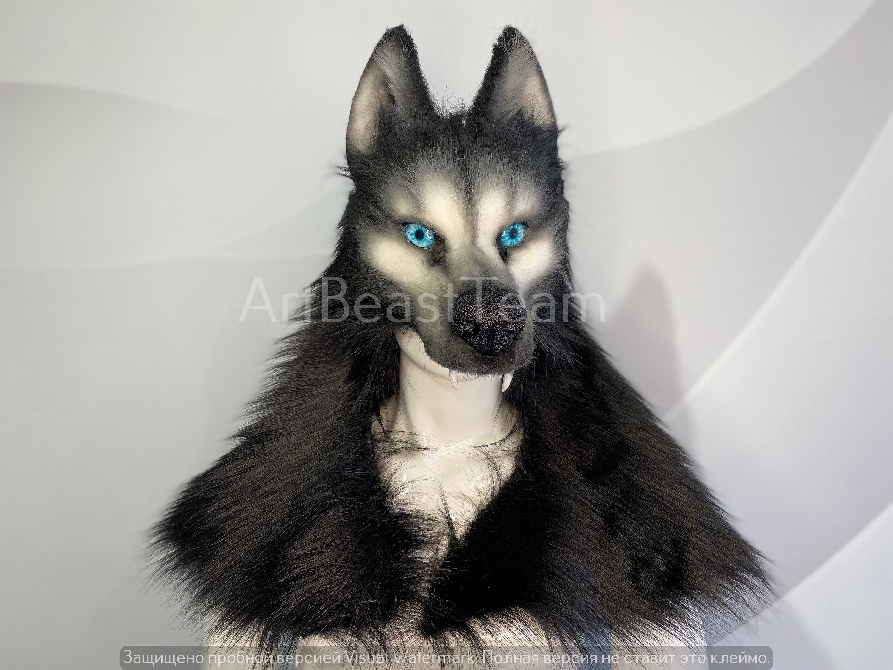 Black Wolf Pup With Blue Eyes