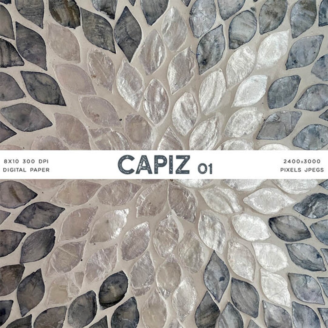 Capiz Shell 01 - Digital Paper for Text, Objects, Backgrounds Texture ...