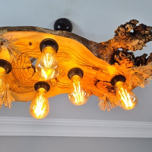 Live Edge Olive Wood Slab Pendant Chandelier, Rustic Lighting Fixture ...