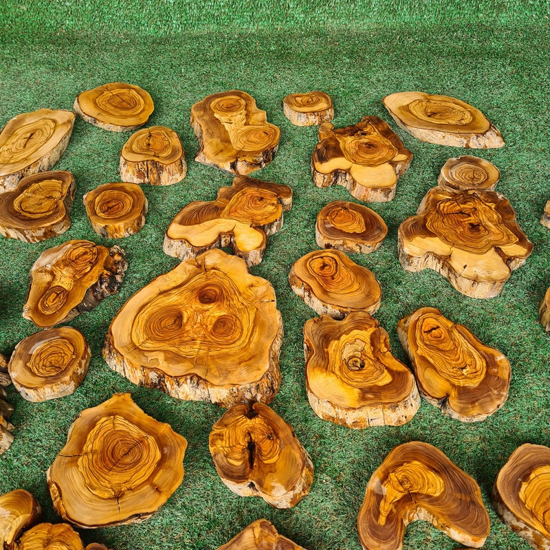 Live Edge With Moss Table - Etsy