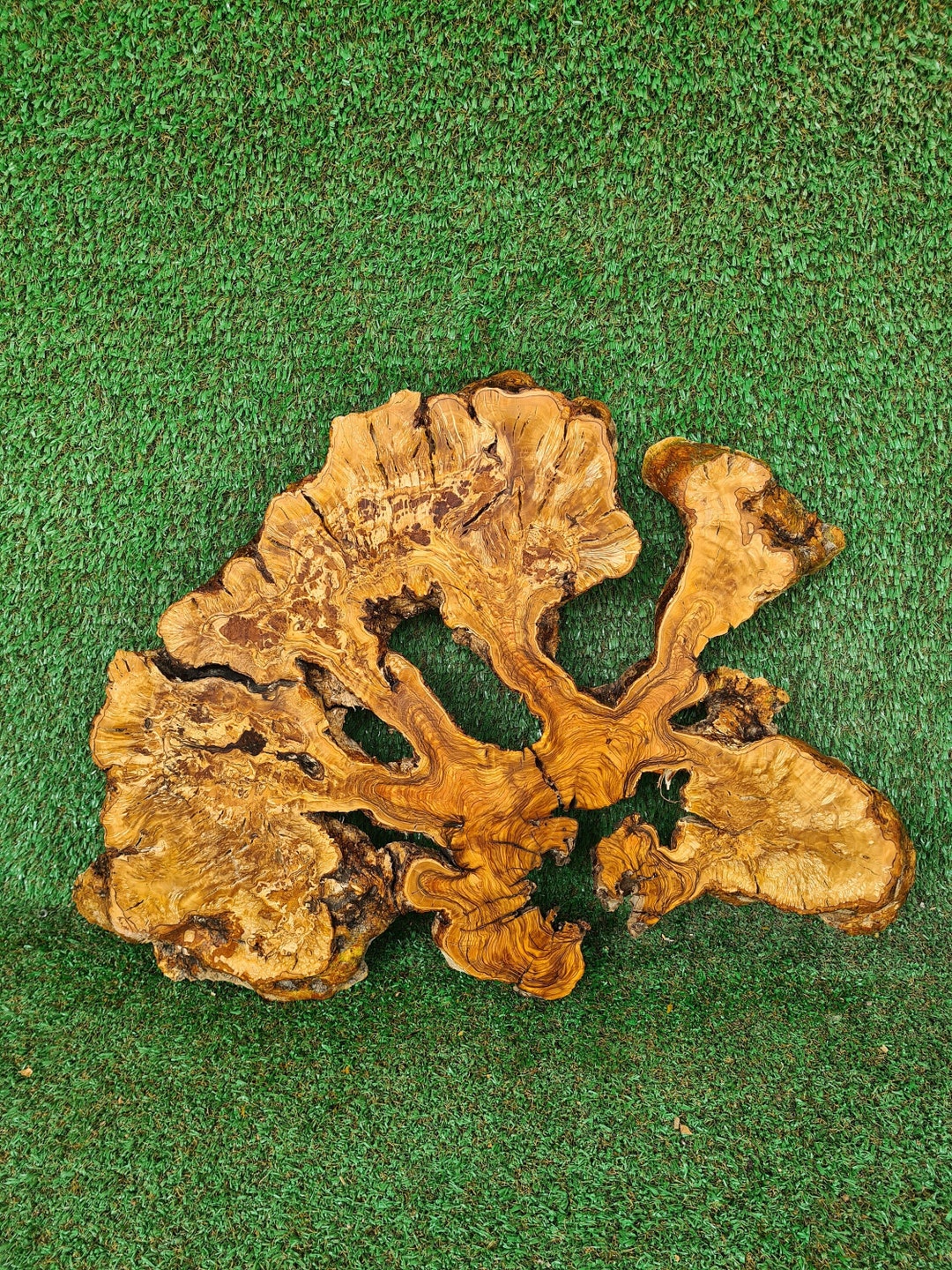 27'' Olive Wood Root Slice , Live Edge Olive Wood Slabs, Raw Edge Wood ...