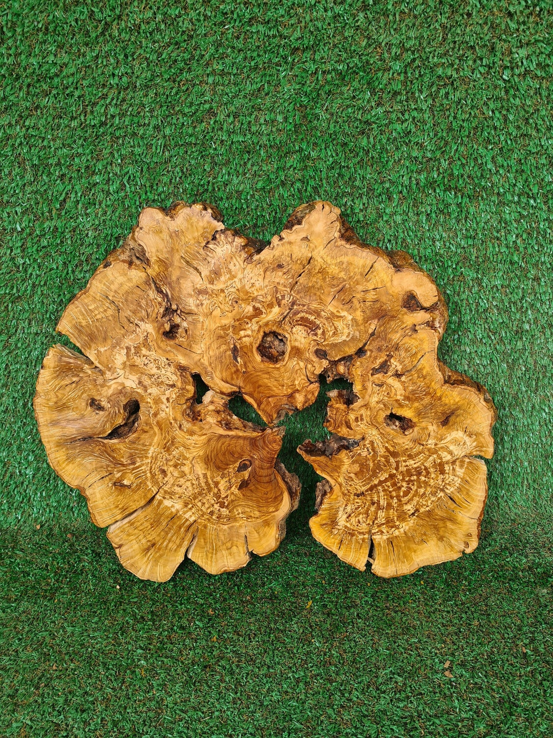 21'' Olive Wood Root Slice Live Edge Olive Wood - Etsy