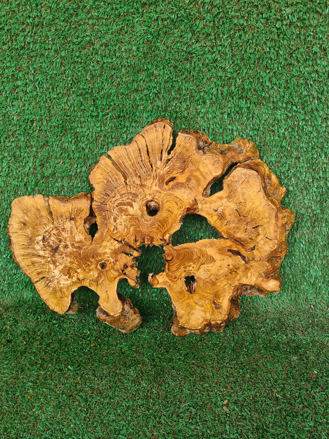 21'' Olive Wood Root Slice , Live Edge Olive Wood Slabs, Raw Edge Wood ...