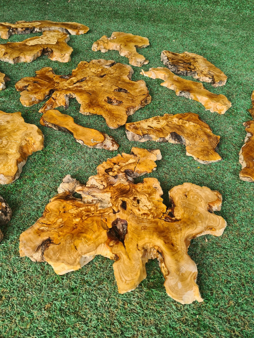5 Kg / 11 Lbs Natural Olive Wood Slices Set, Raw Edge Olive Wood Slabs ...