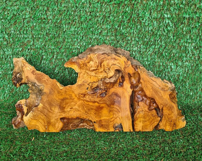 18''x8''x1.2'' Olive Wood Piece, Raw Edge Wood Slice, Unfinished Wood ...