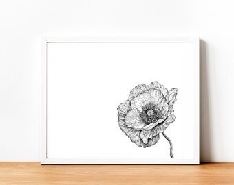 Poppy Print, Pen and Ink, Poppy Drawing, Poppy Flower, Flower Drawings ...