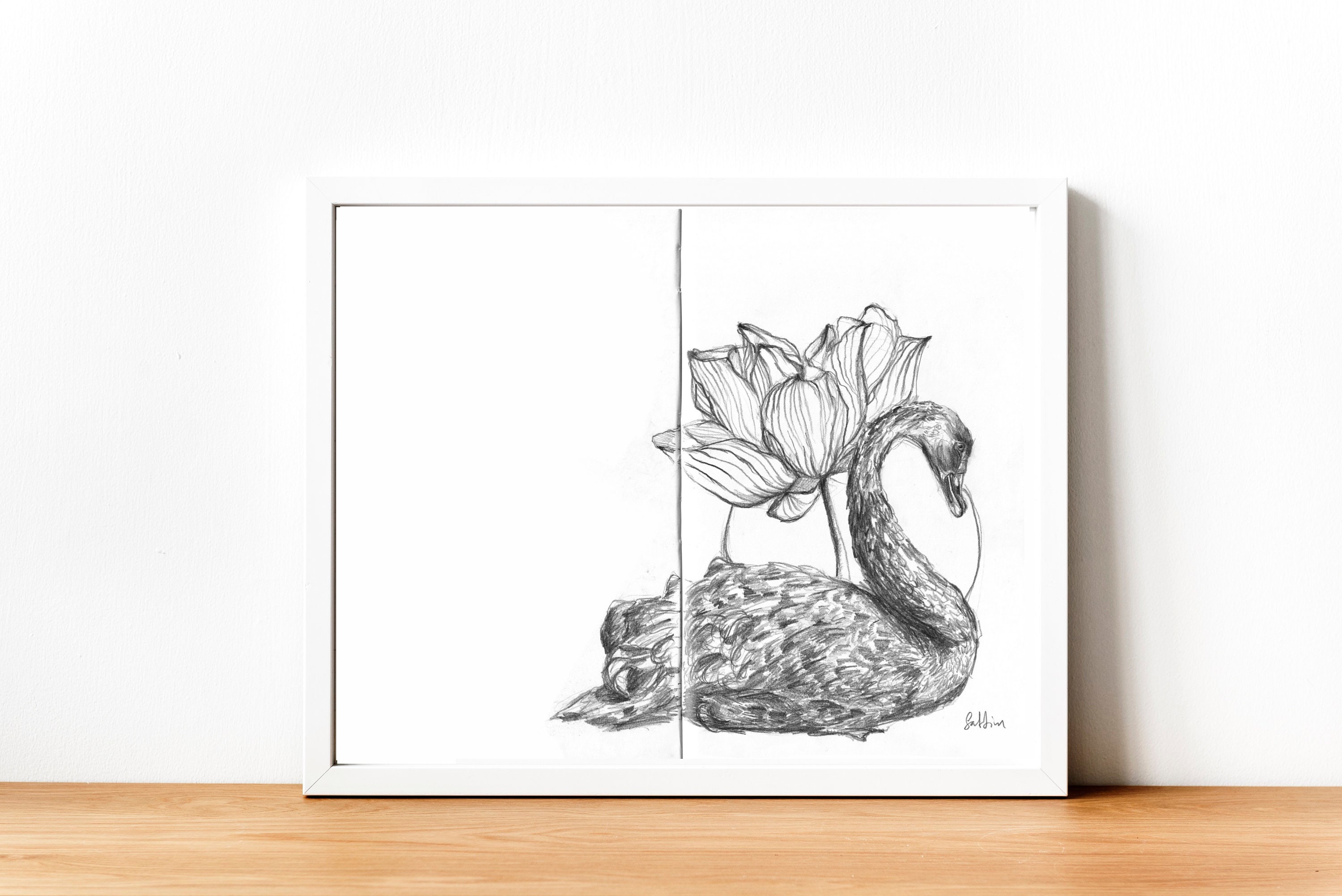 Swan Pencil Drawing