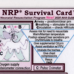 NRP neonatal Resuscitation Program SURVIVAL CARD Quick Reference Guide Laminated/hole Punched ...