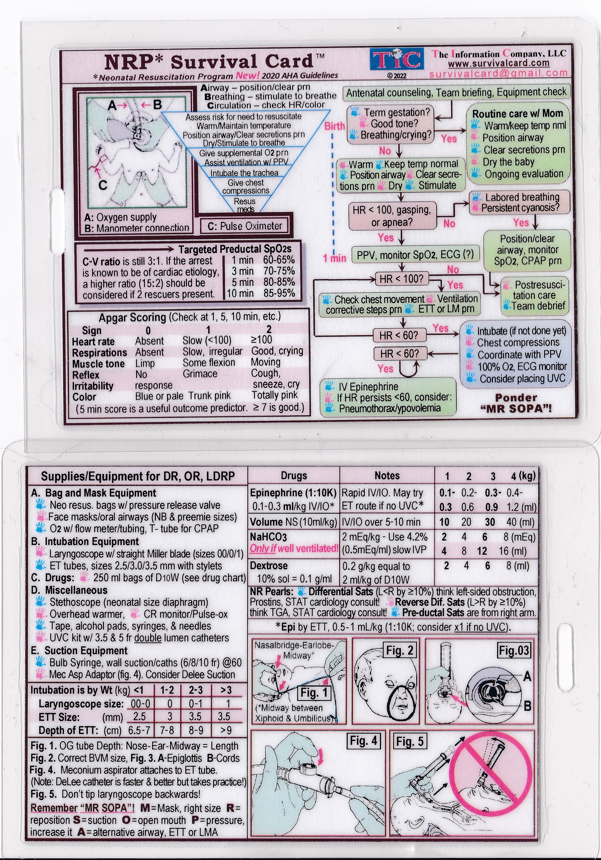 Nrp Neonatal Resuscitation Program Survival Card Quic - vrogue.co