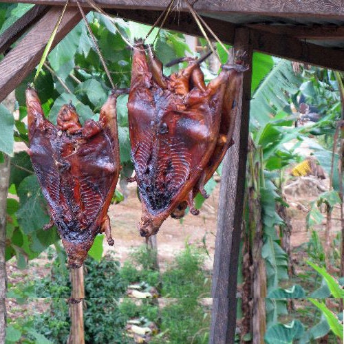 Smoked Grasscutter-Bush Meat-Okele-Marsh Cane Rat-Ground | Etsy