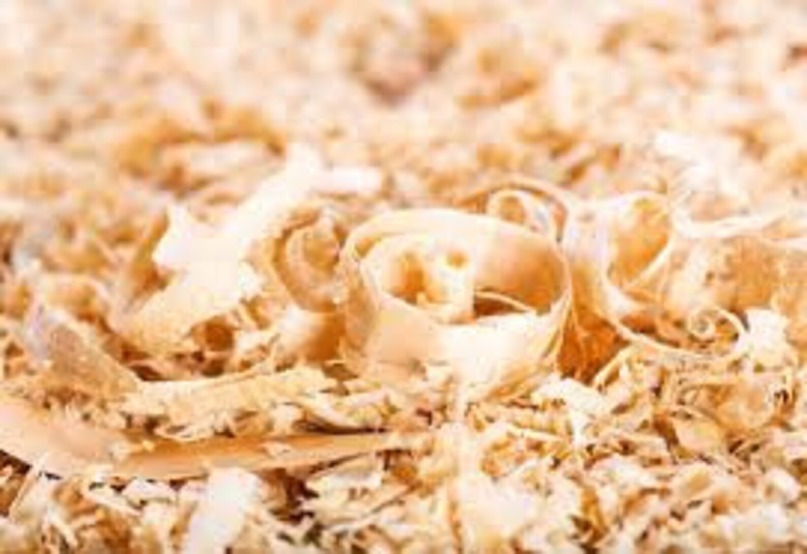 A pack of Medium and Fine Mixed Sawdust Wood Shavings | Etsy