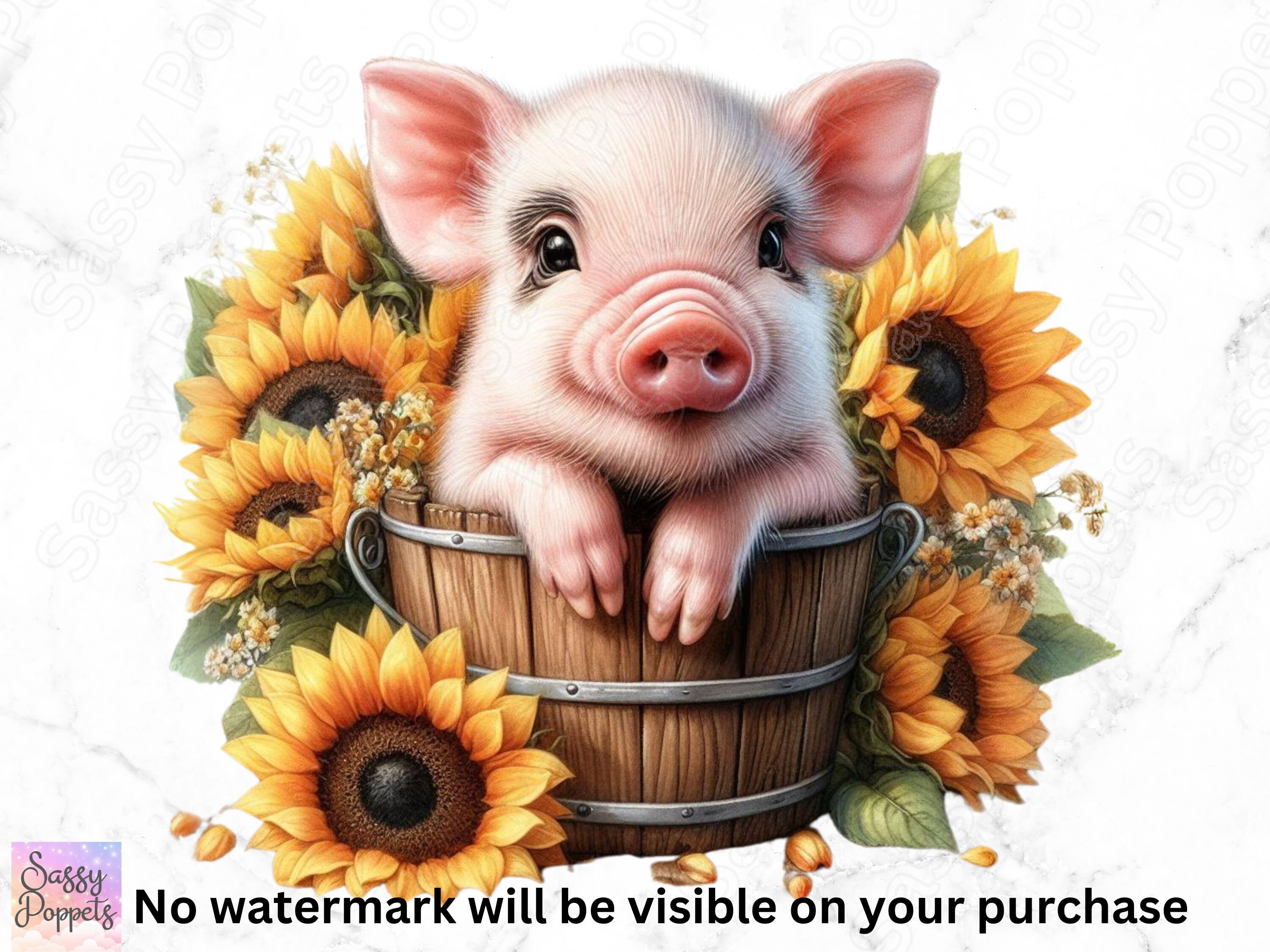 Pigs With Sunflowers Transparent PNG Set: Sublimation & Card Making ...