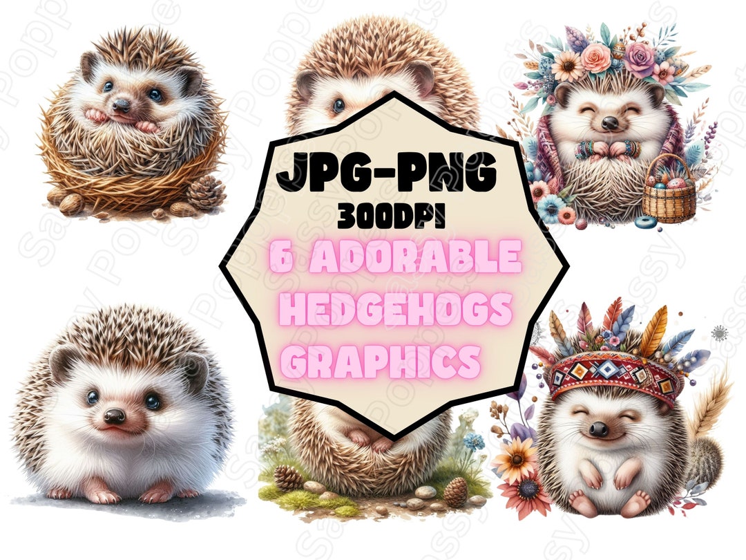 Hedgehog, Digital PNG Hedgehog, Hedgehog Clipart, Hedgehog Illustration ...