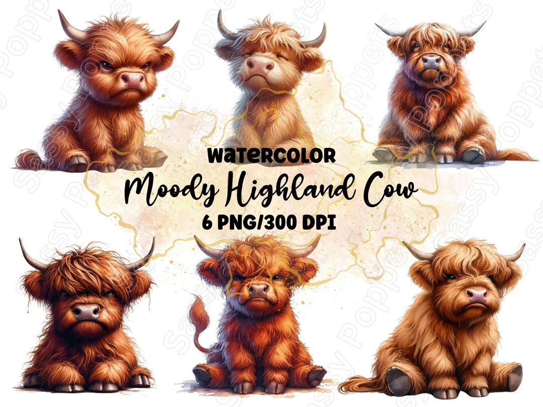 Highland Cow Clipart, Moody Highland Cow, Highland Cow Illustrations - Etsy