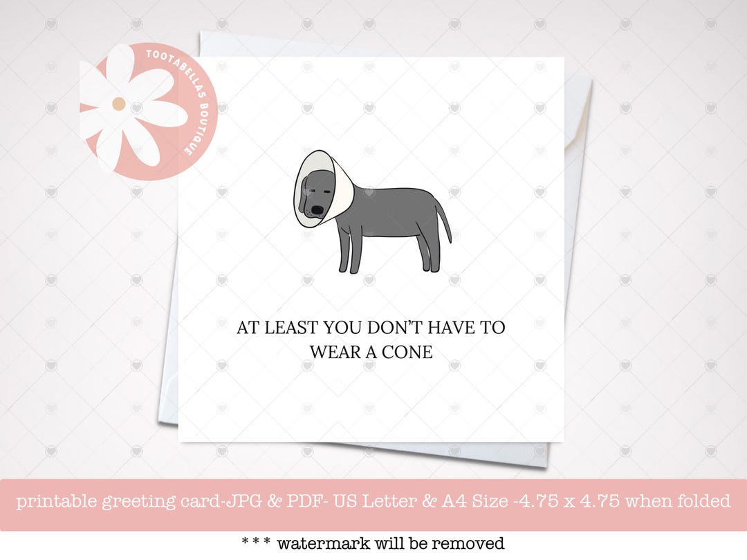 Funny Vasectomy Get Well Card: Cone Dog (digital Download) - Etsy