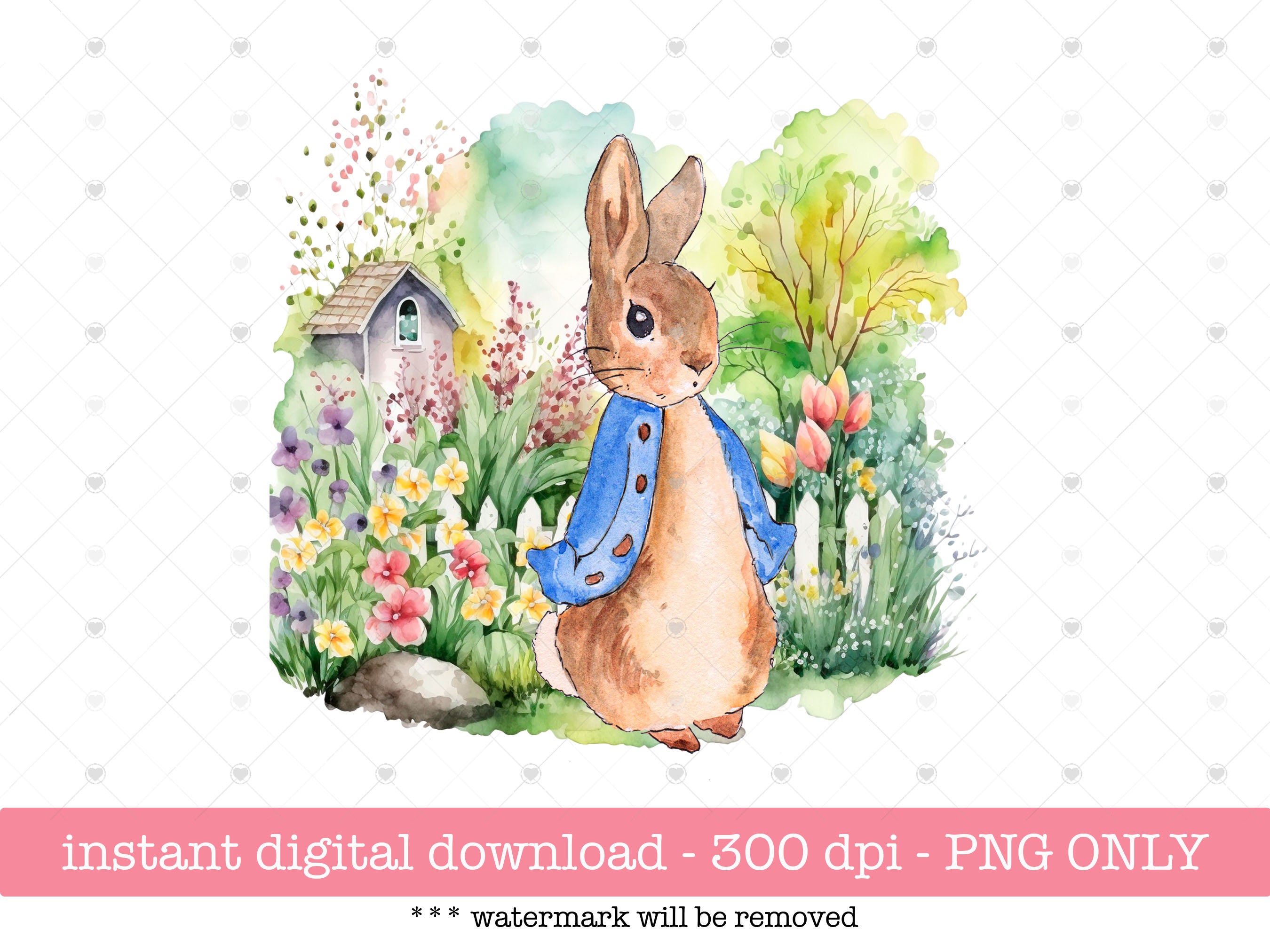 Peter Rabbit Spring Sublimation PNG, Kids DTF Transfer (digital ...