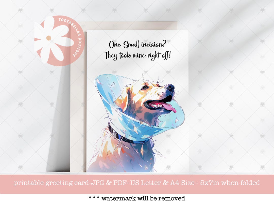 Funny Vasectomy Get Well Card: Dog Humor (digital Download) - Etsy