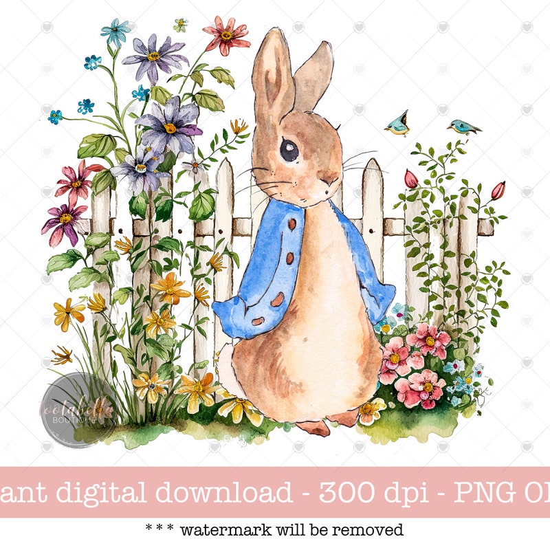 Peter Rabbit Drawing - Etsy
