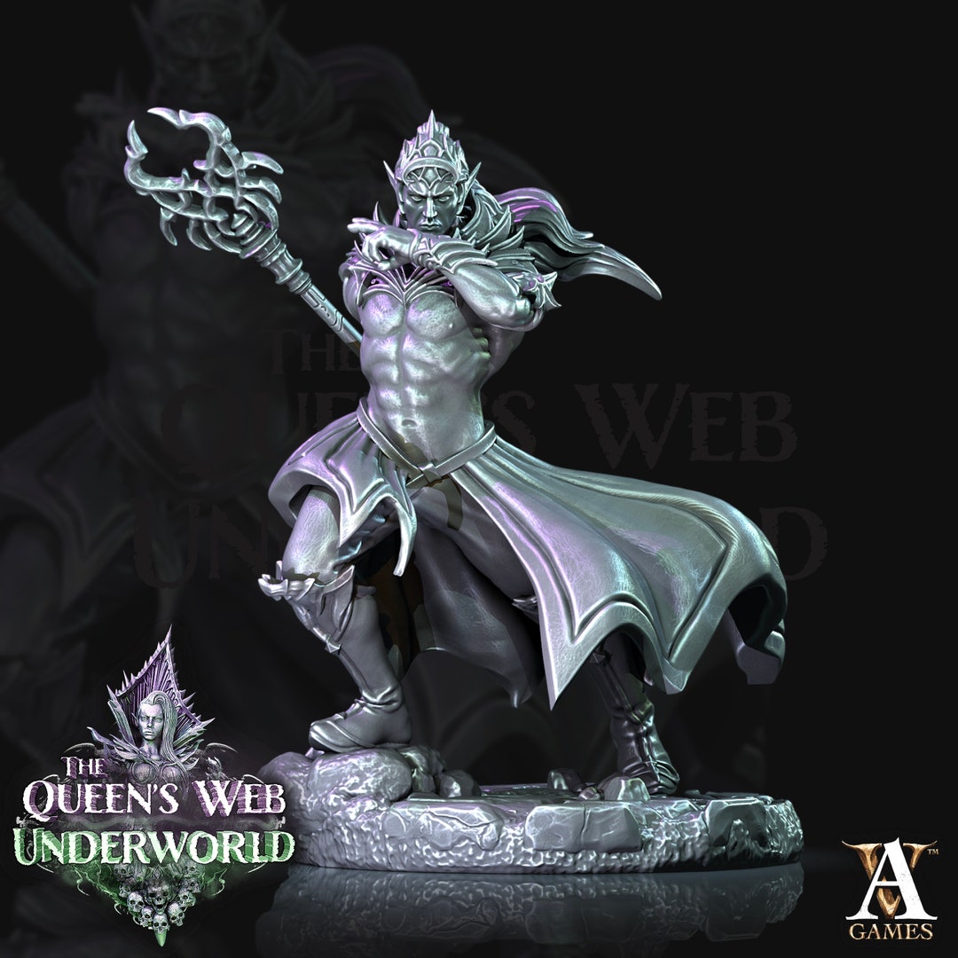 Dark Elf Adept 32mm 2 Poses High Resolution Resin Miniature Pathfinder ...