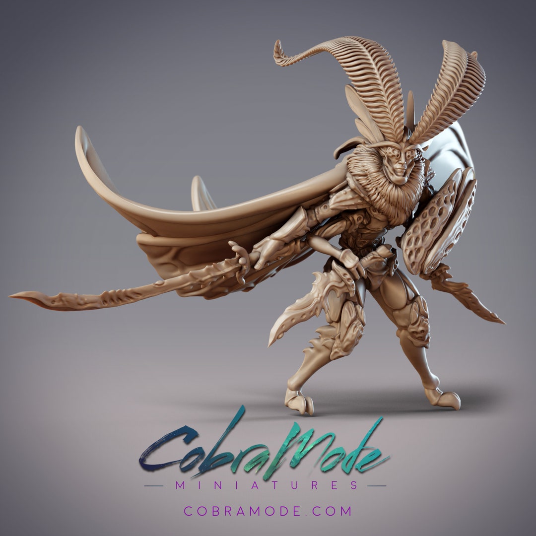 Fidelium Hunter 54mm 32mm D&D RPG Tabletop Dungeons and Dragons ...