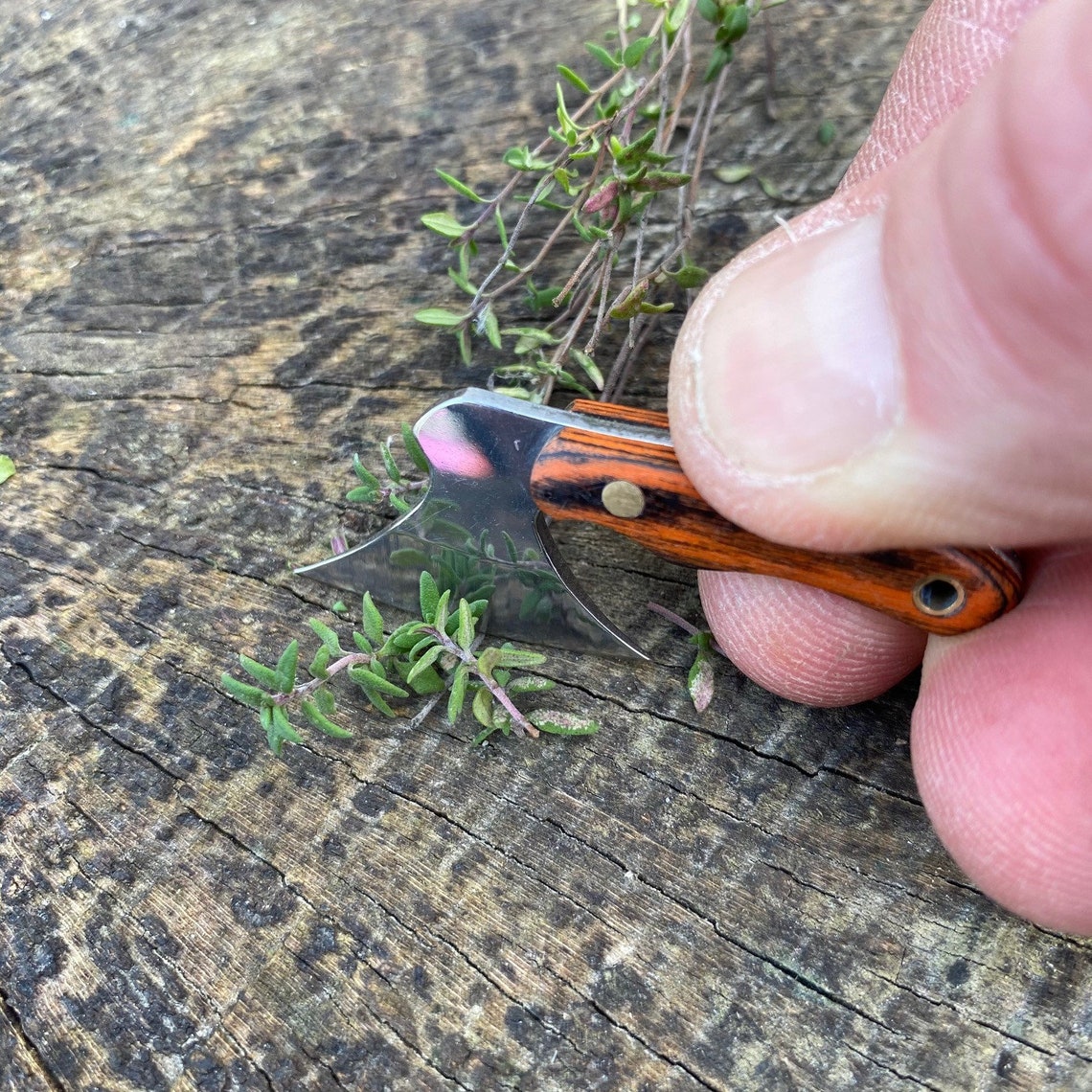 Swayboo Keychain Knife/axe Kitchen Small Mini Portable EDC - Etsy