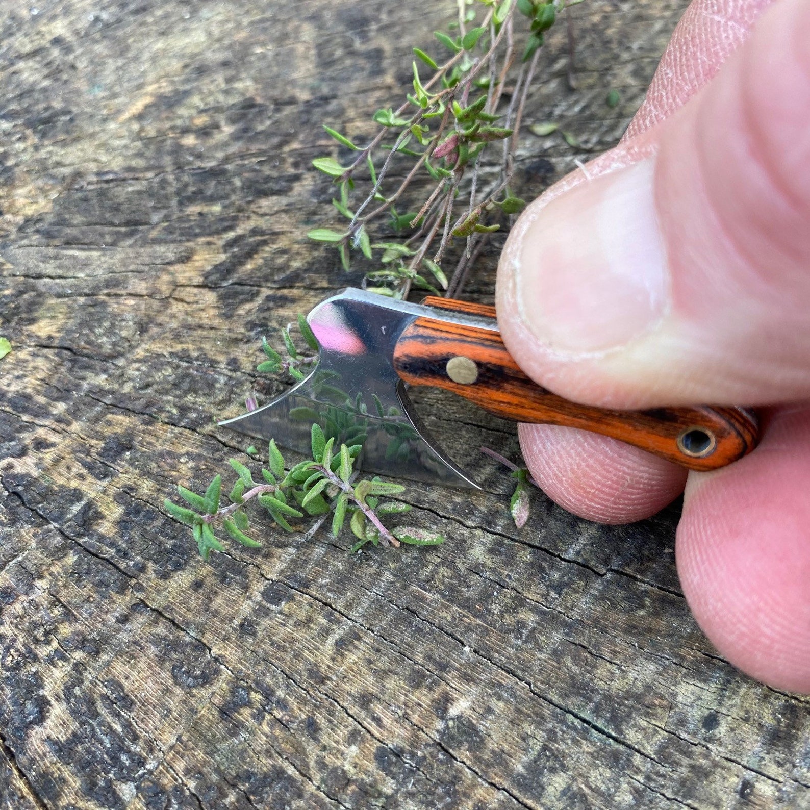 Swayboo Keychain Knife/axe Kitchen Small Mini Portable EDC Fixed Blade ...