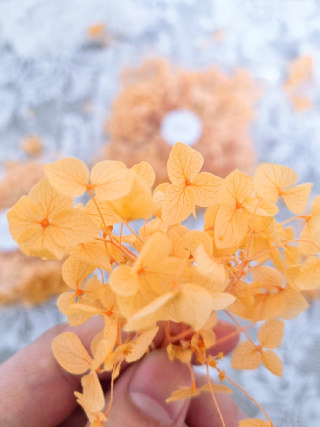 Preserved Orange Hydrangea Flower DIY Pack Dried Arrangement - Etsy