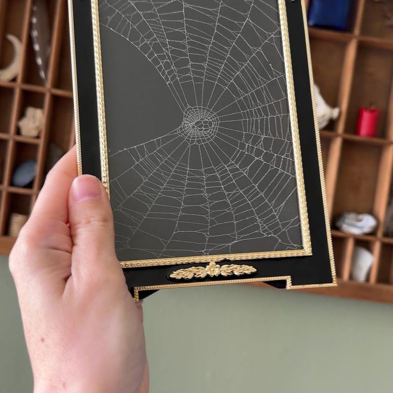 Framed Spider Web - Etsy