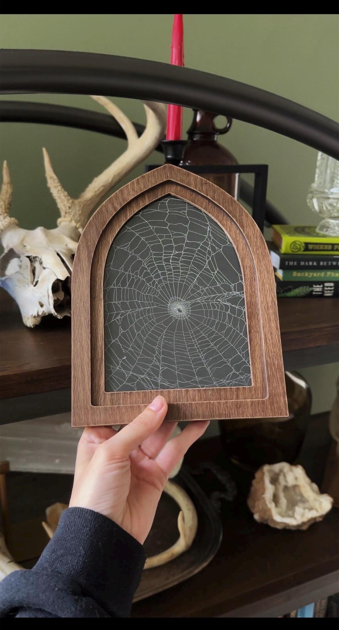 Real Preserved Spider Web in Wood Arch Frame, Arch Cathedral Frame ...