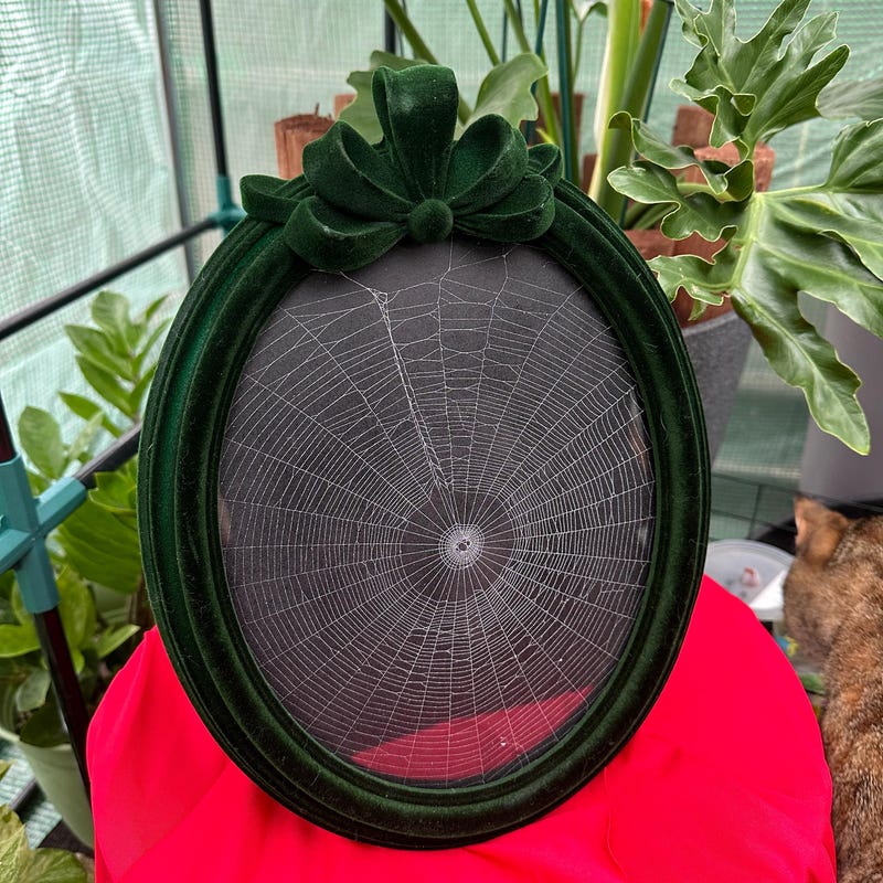 Framed Spider Web - Etsy