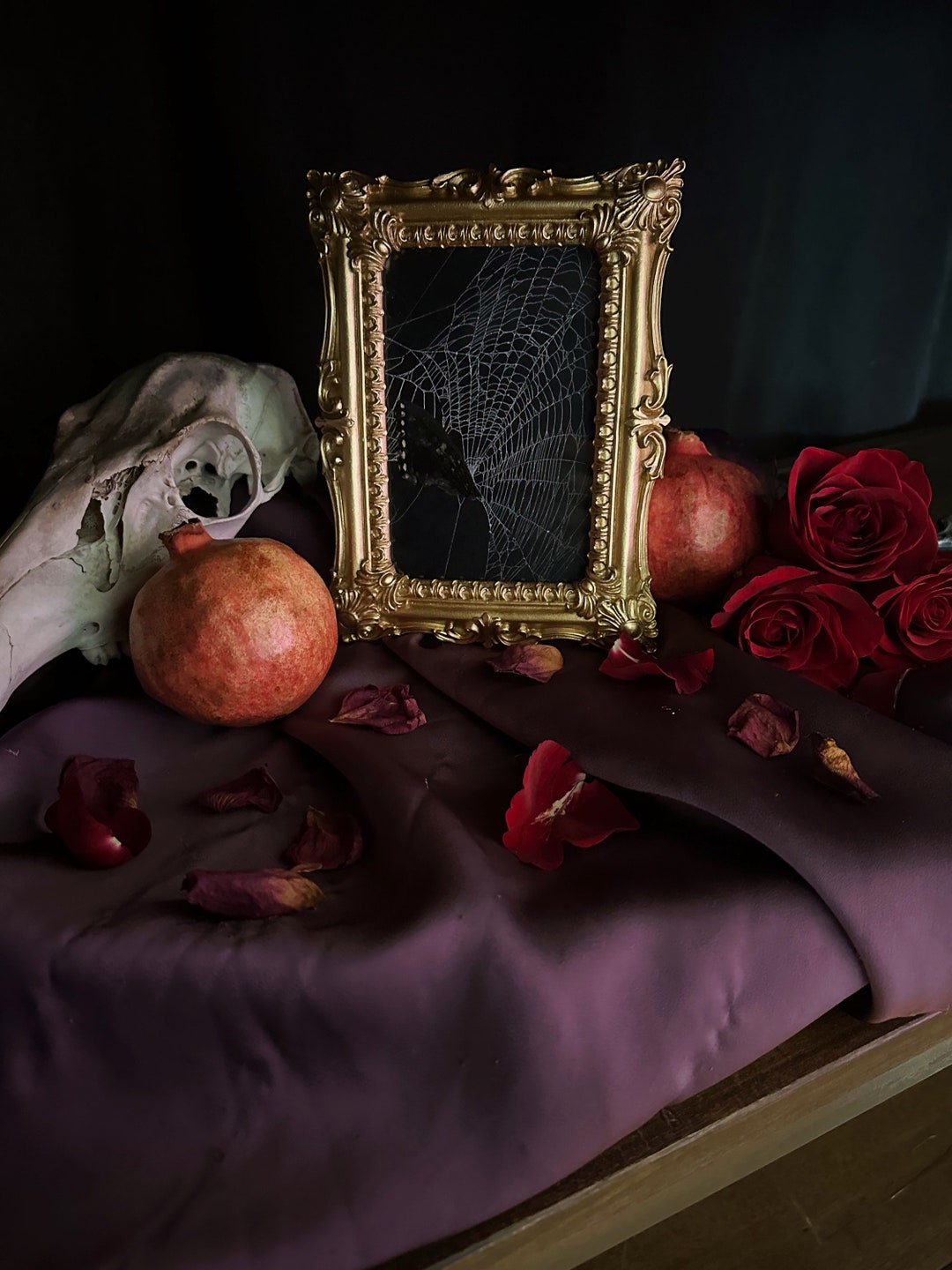 Real Preserved Spider Web, Gothic Spider Web Home Decor - Etsy