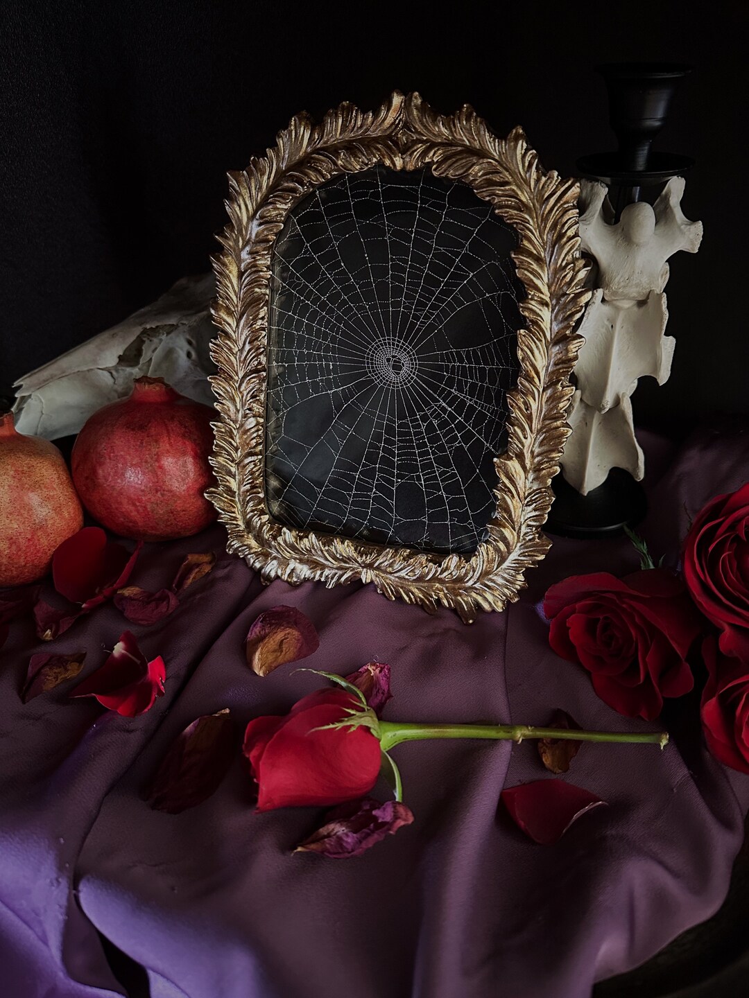 Real Preserved Spider Web, Gothic Spider Web Home Decor - Etsy