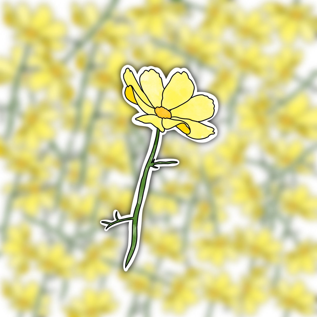 October Birth Flower Sticker | Birth Flower Sticker | Cosmo Sticker ...