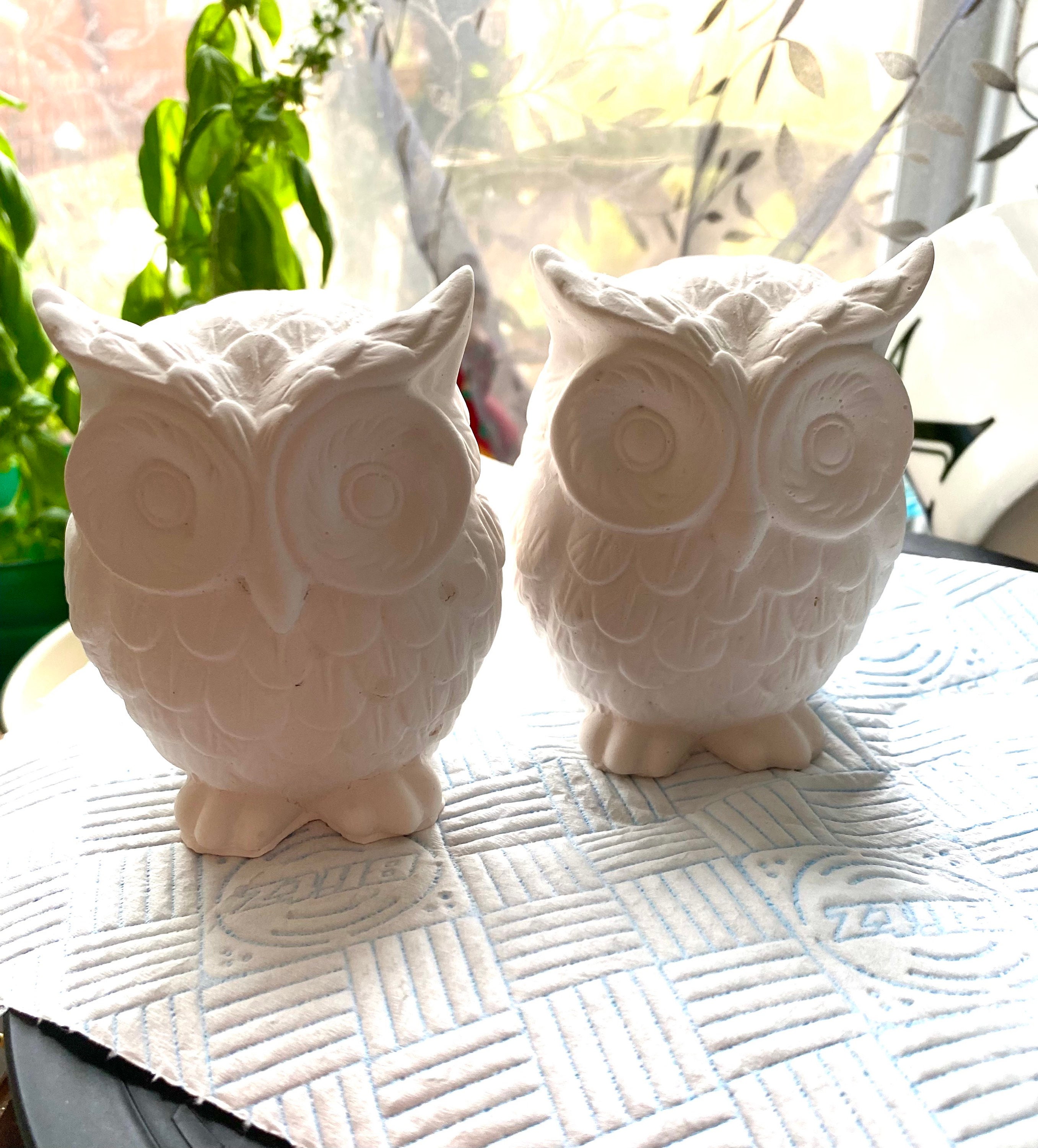 Owl Blanks for Painting - Etsy