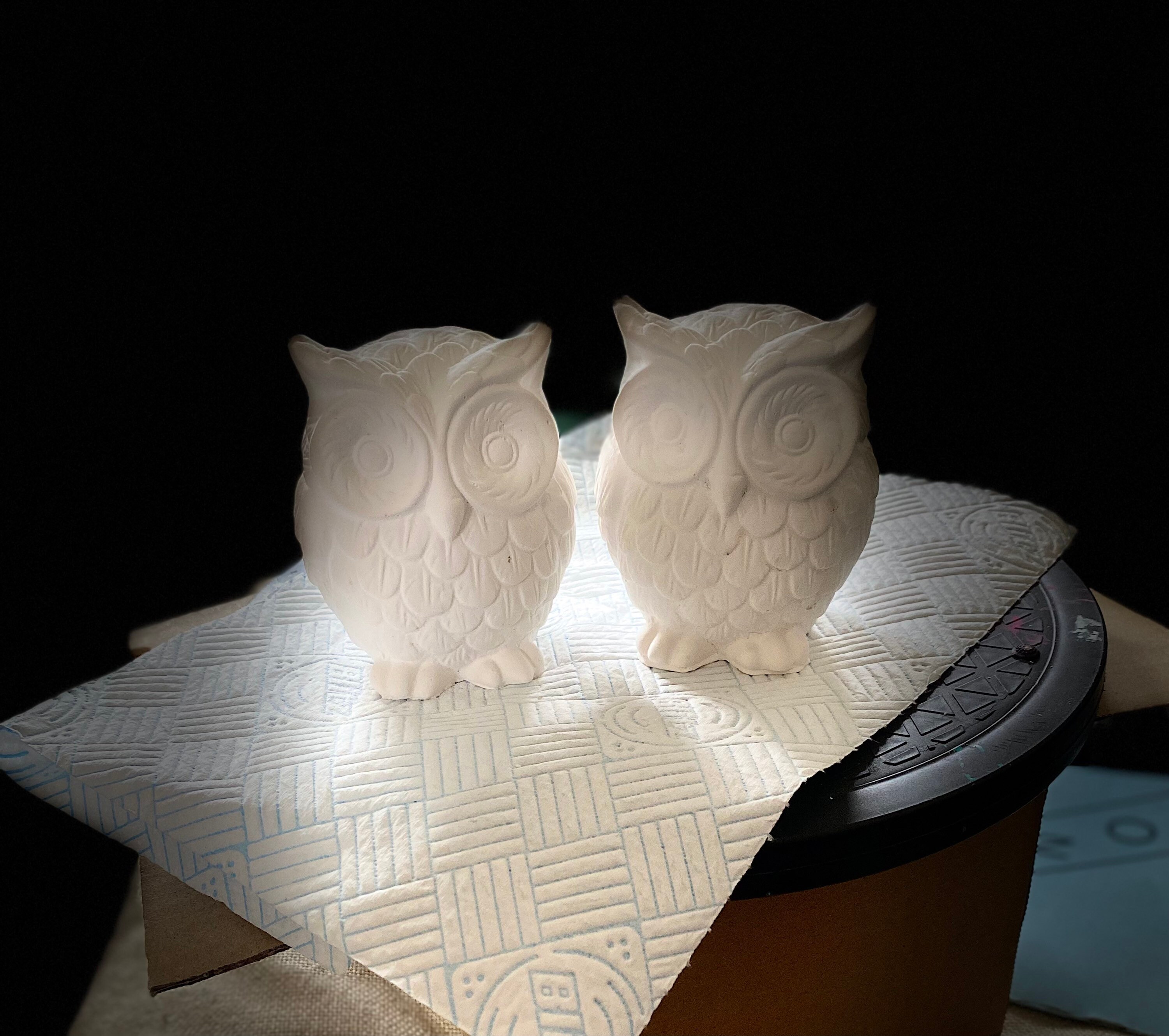 Owl Blanks for Painting - Etsy
