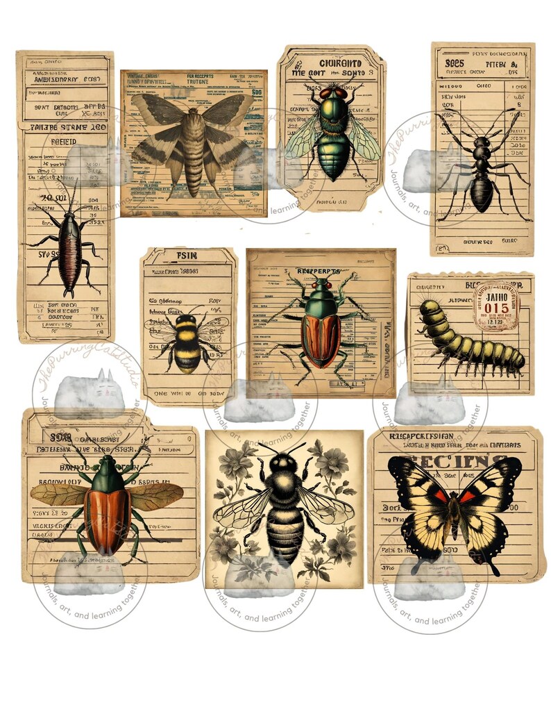 Grungy Vintage Entomology (digital Paper Set) - Etsy