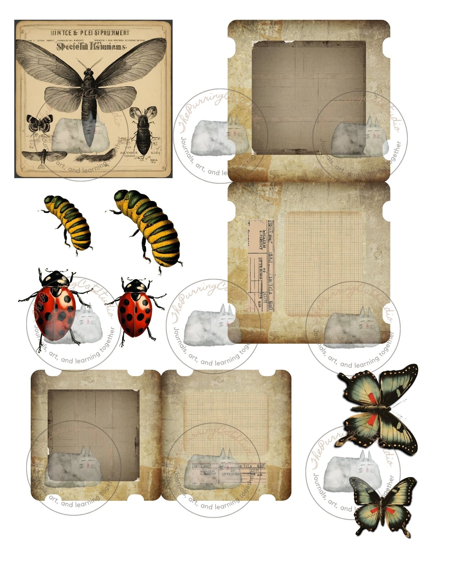 Grungy Vintage Entomology (digital Paper Set) - Etsy