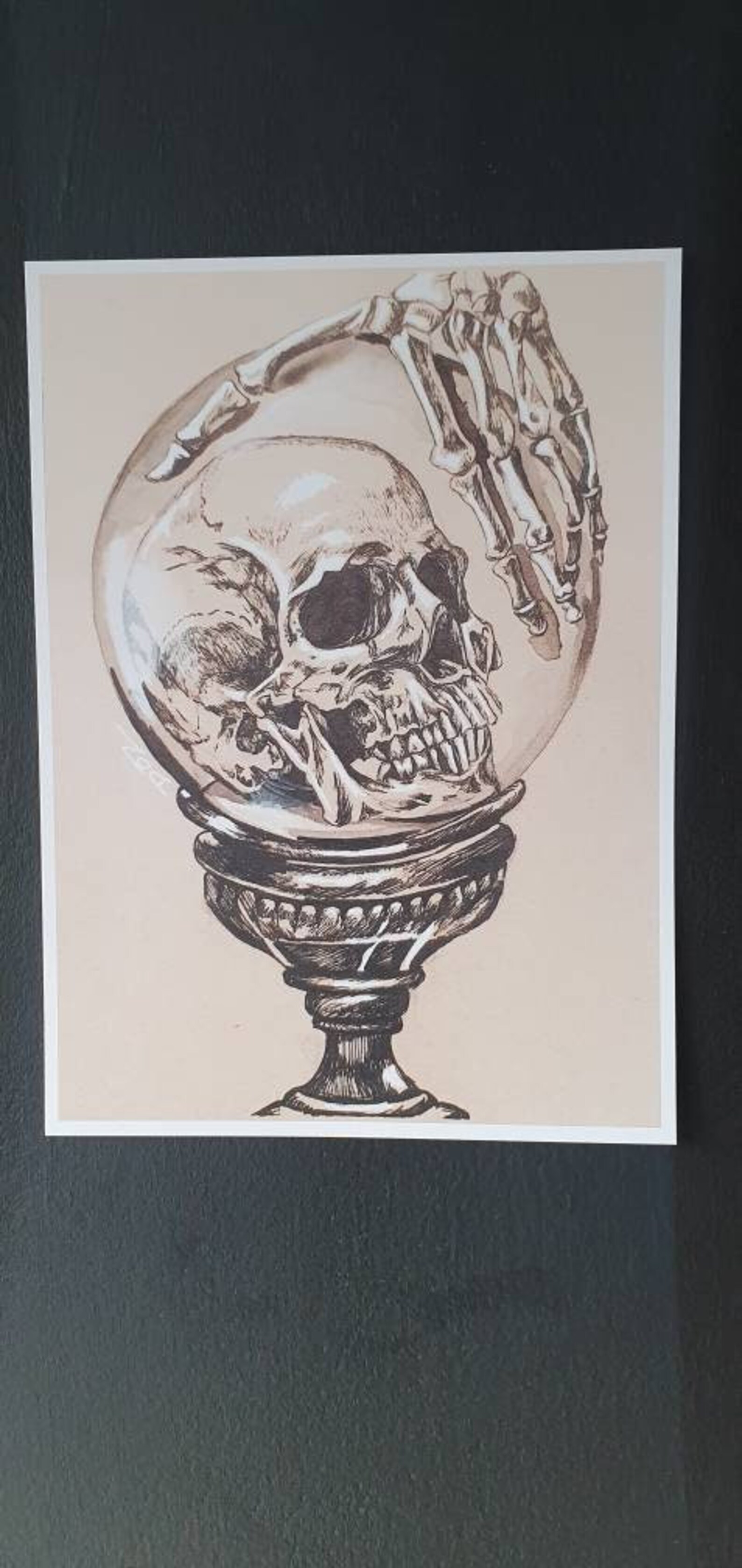 Original Artwork Print of SKELETON SKULL in Glass Sphere - Etsy