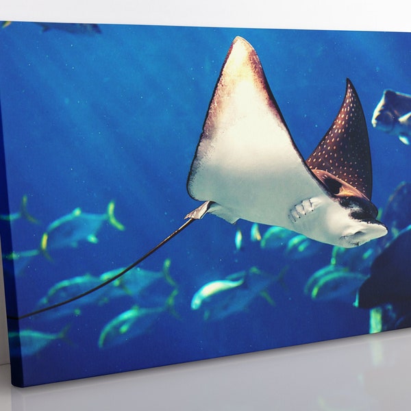 Manta Ray Print - Etsy