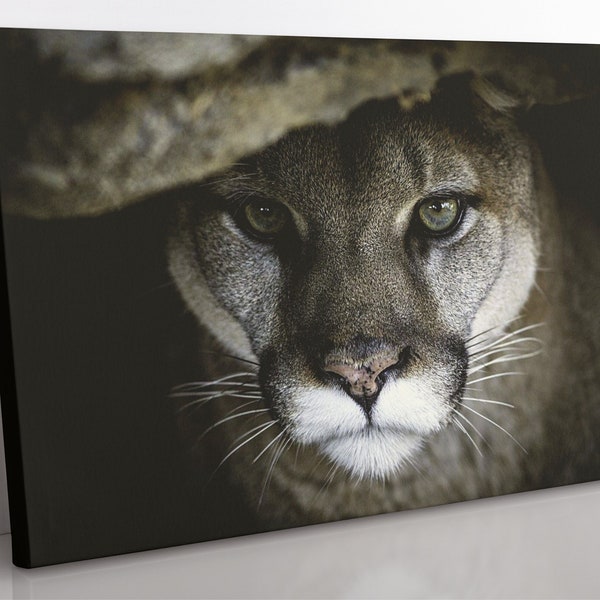 Puma Bedroom Wall Art - Etsy