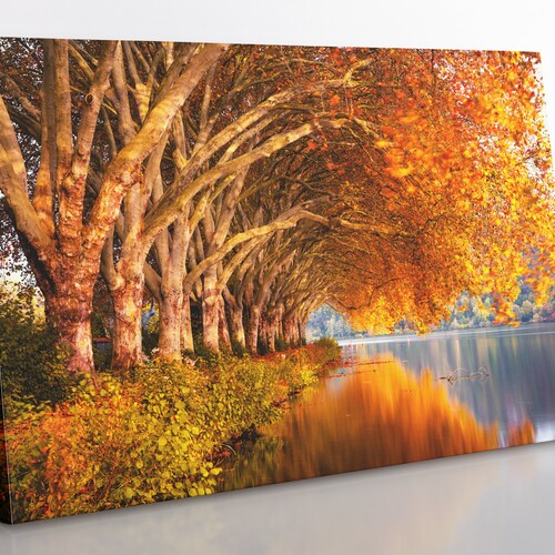 Autumn Road Red Orange Trees Forest Home Decor Framed Canvas - Etsy