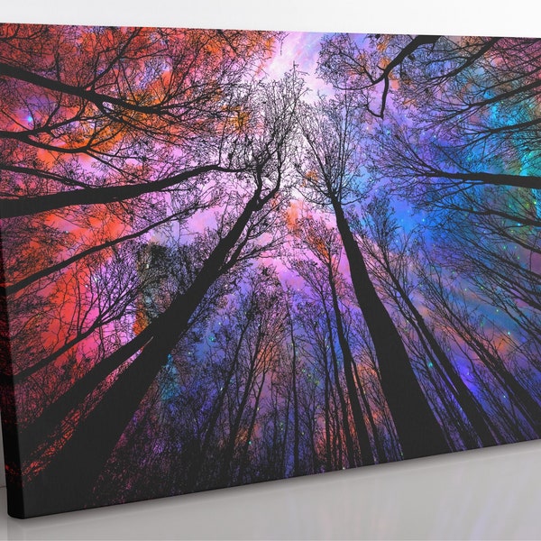 Tree Canopy - Etsy