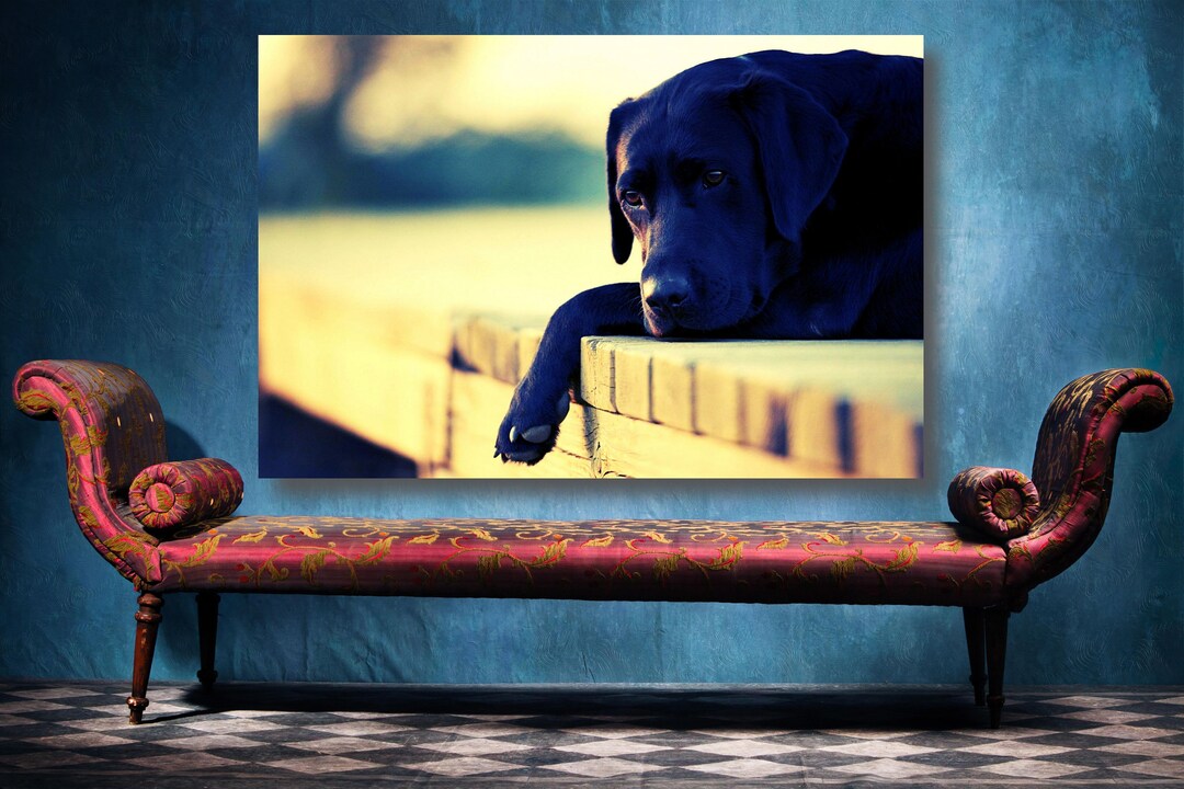 Black Labrador Print: Large Dog Poster, Home Decor Wall Art - Etsy