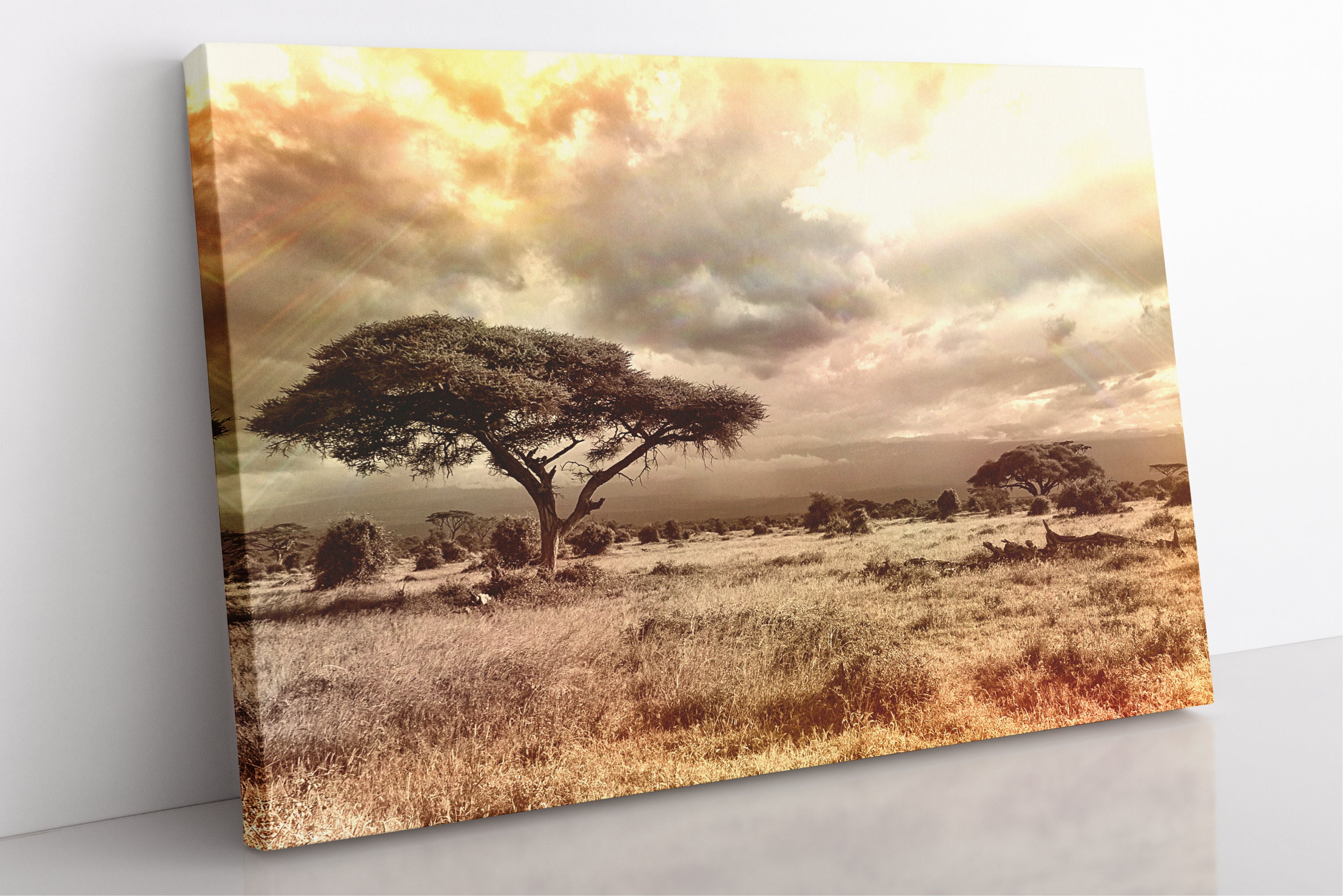 African Landscape Drawing