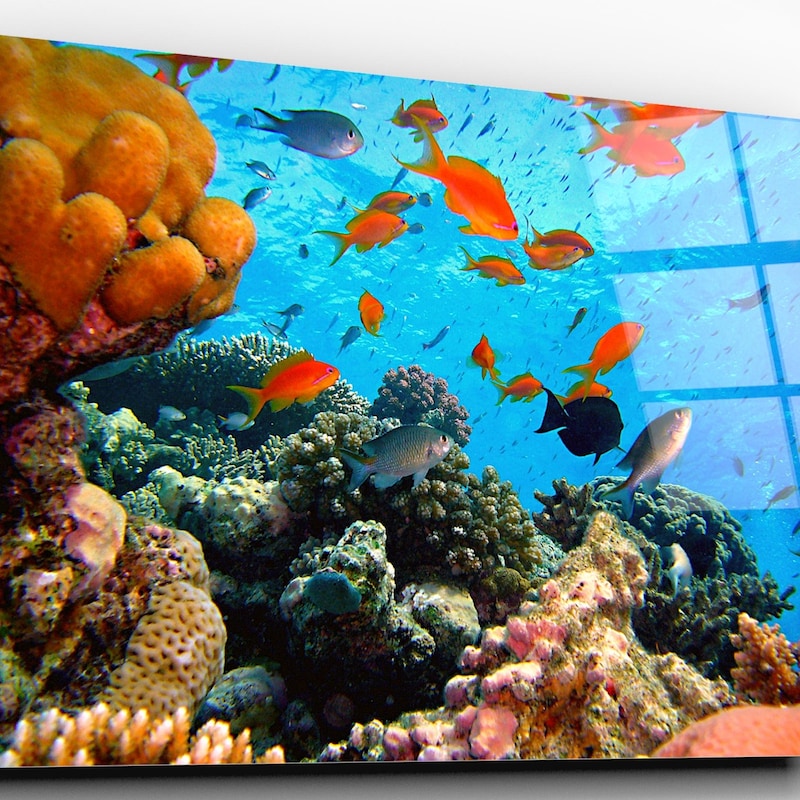 Coral Reef Wall Art - Etsy